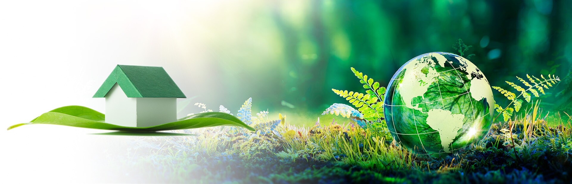 Ekologická minerálna vlna ECOSE: Udržateľné riešenie izolácie. | HOME ...
